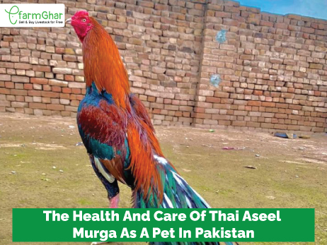 Buy & Sell Livestock For Free – farmGhar