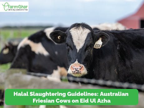 Buy & Sell Livestock For Free – farmGhar