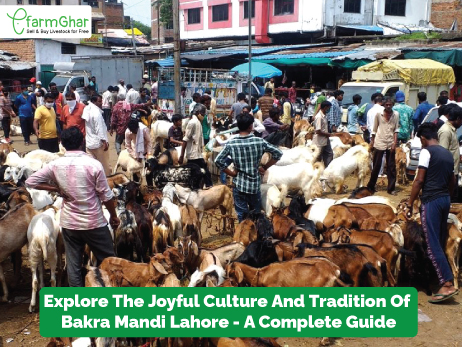 Buy & Sell Livestock For Free – farmGhar