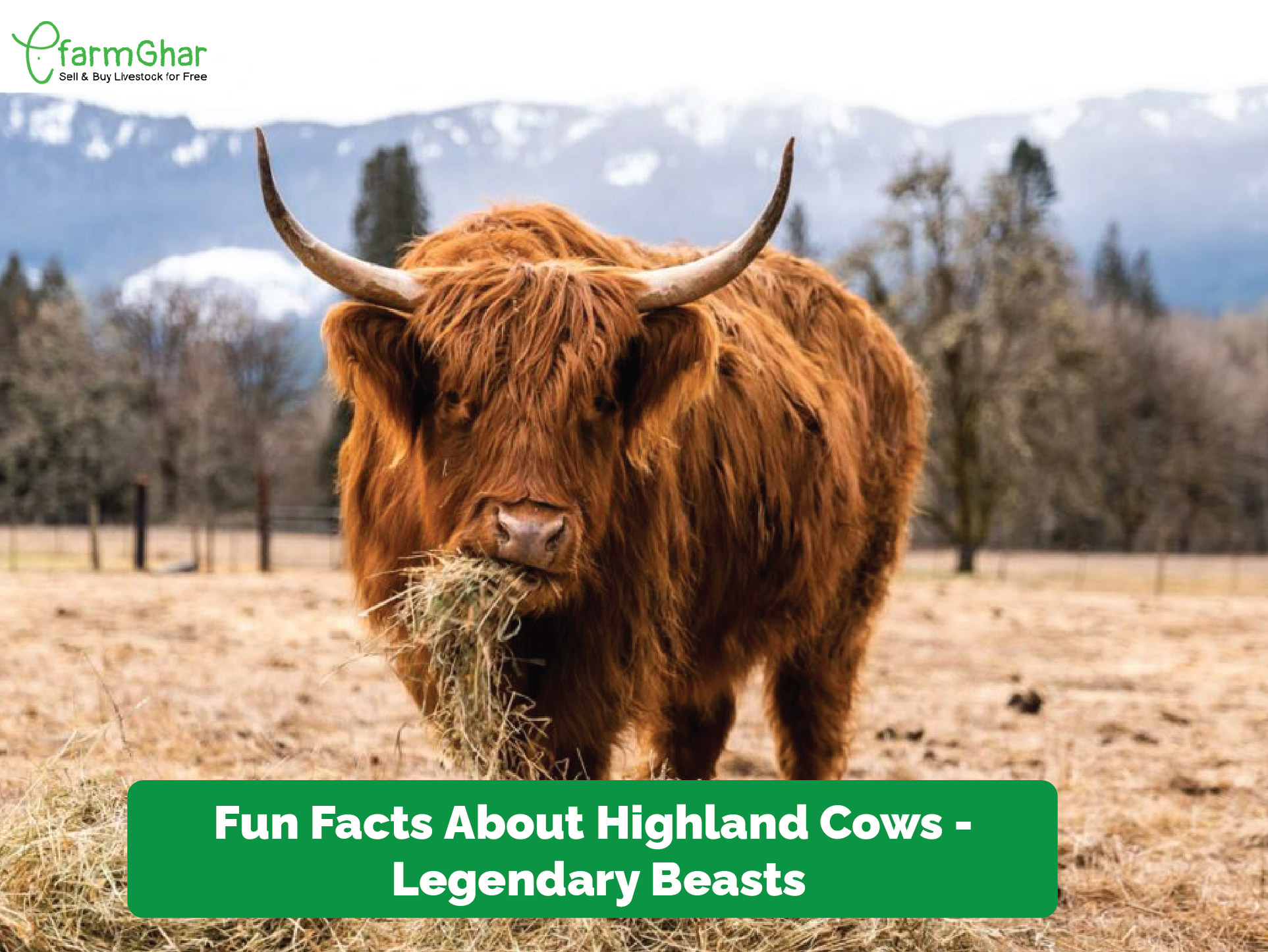 Buy & Sell Livestock For Free – farmGhar