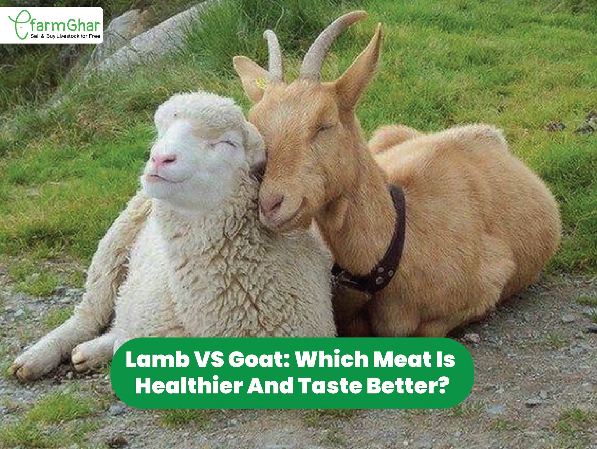 Buy & Sell Livestock For Free – farmGhar