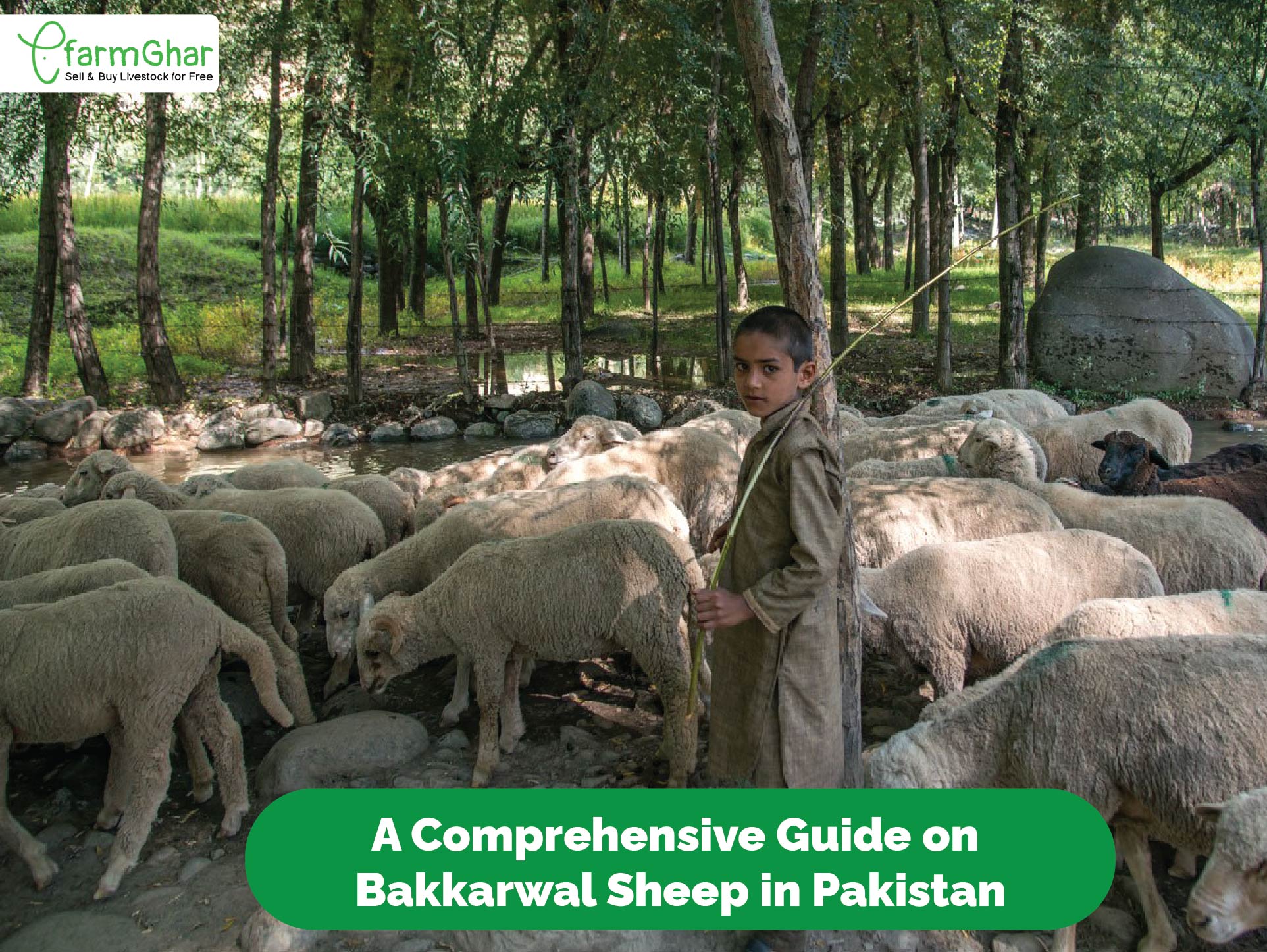 Buy & Sell Livestock For Free – farmGhar