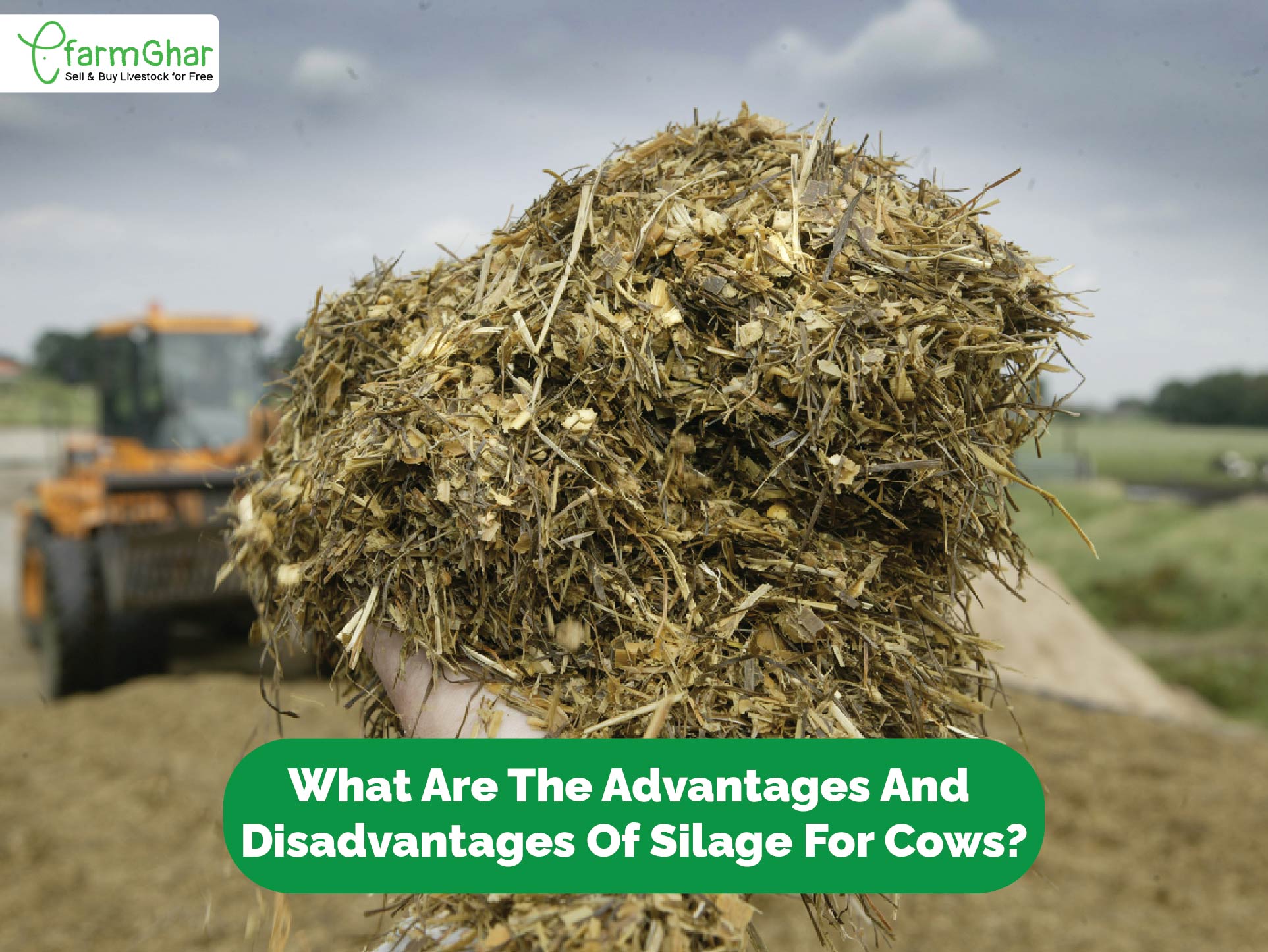 Buy & Sell Livestock For Free – farmGhar