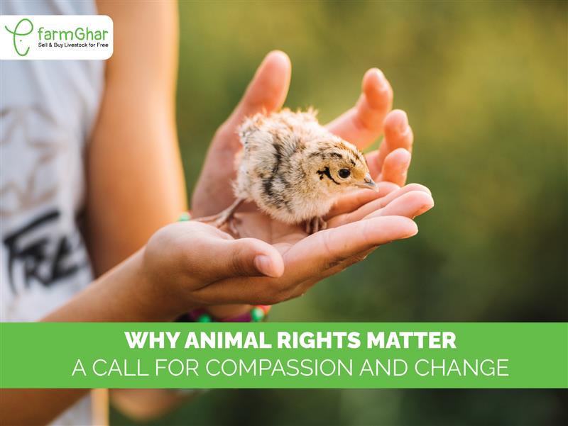 Buy & Sell Livestock For Free – farmGhar