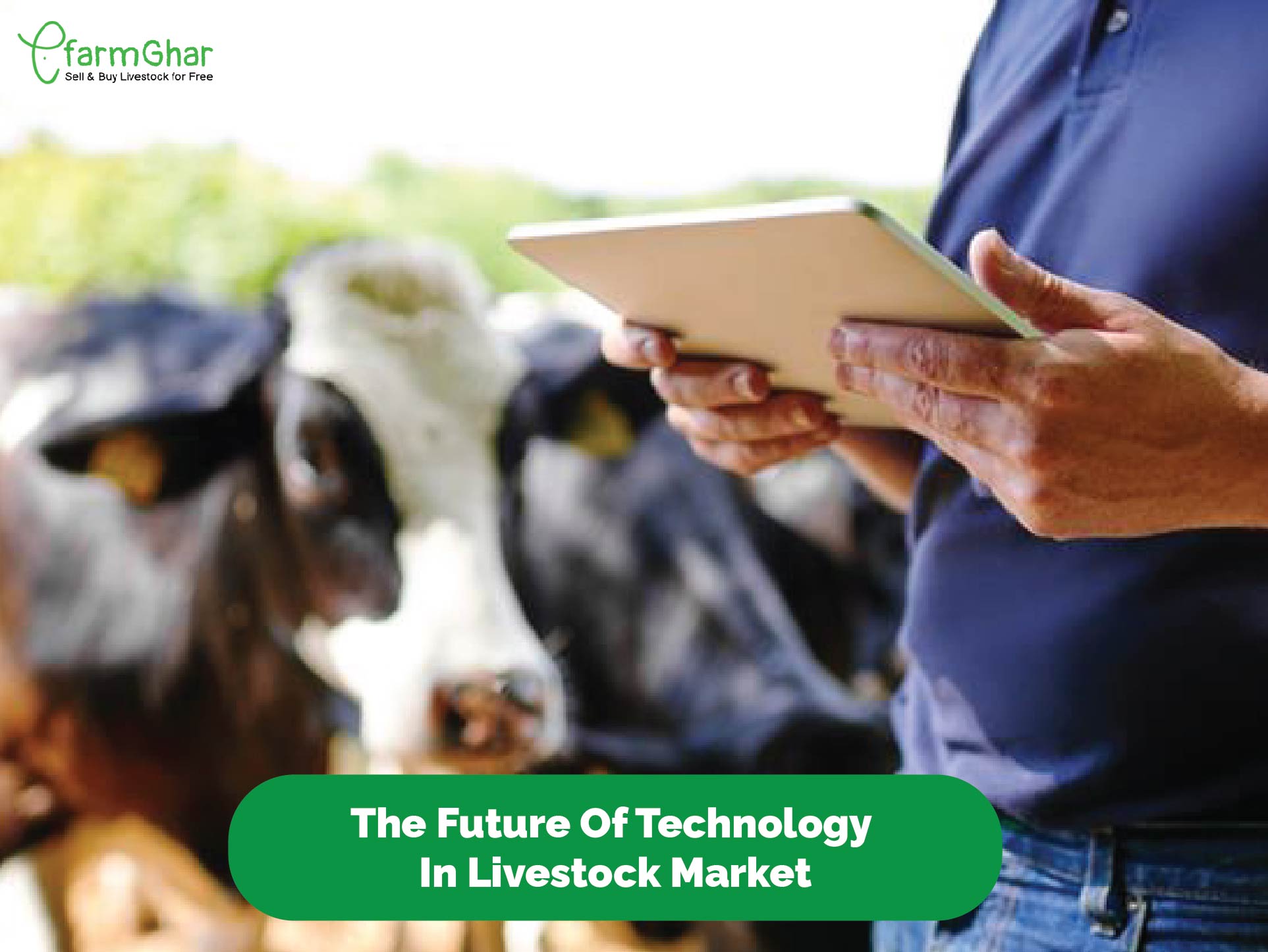 Buy & Sell Livestock For Free – farmGhar