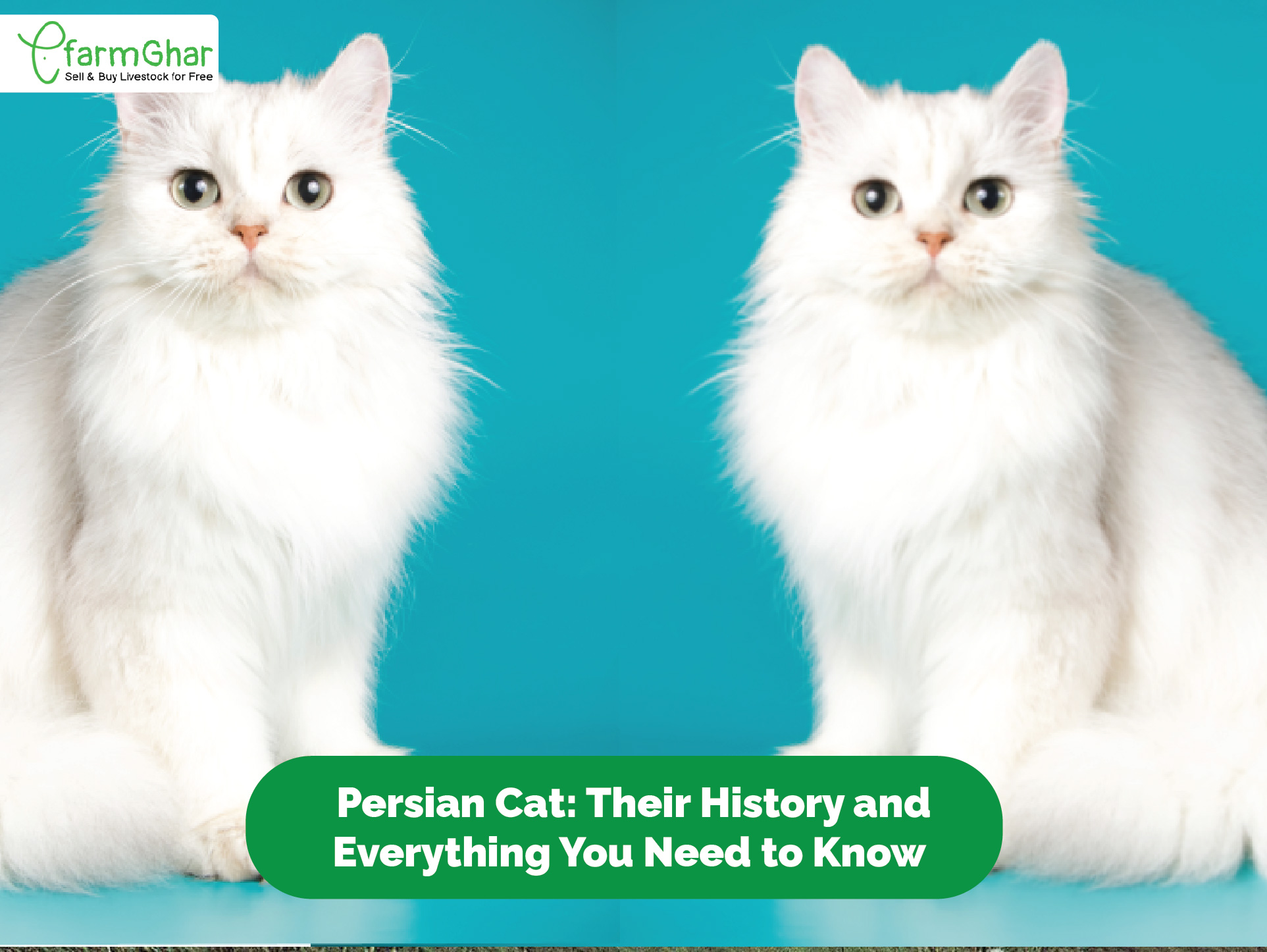 Buy & Sell Livestock For Free – farmGhar